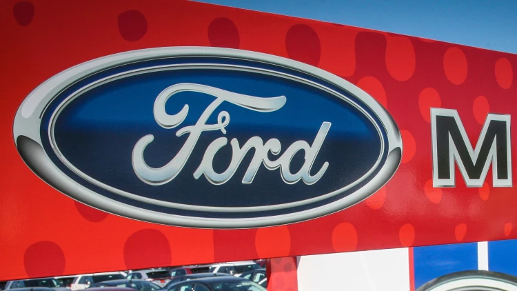 Graphic Installation - Graphics Factory